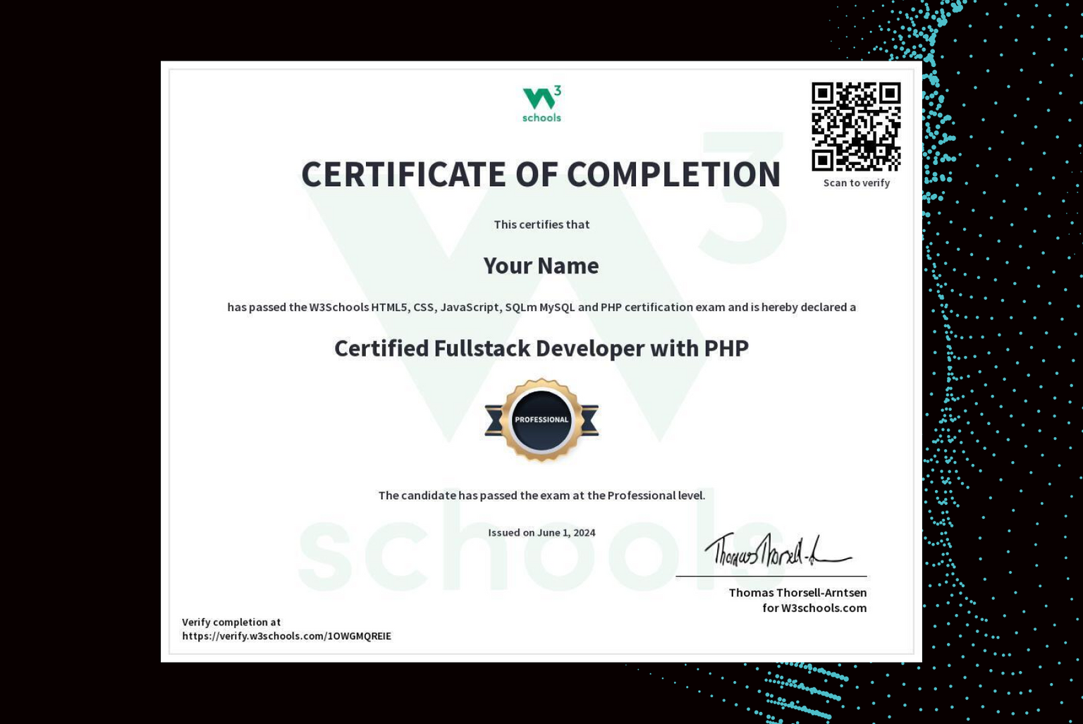 Career Paths — W3Schools.com