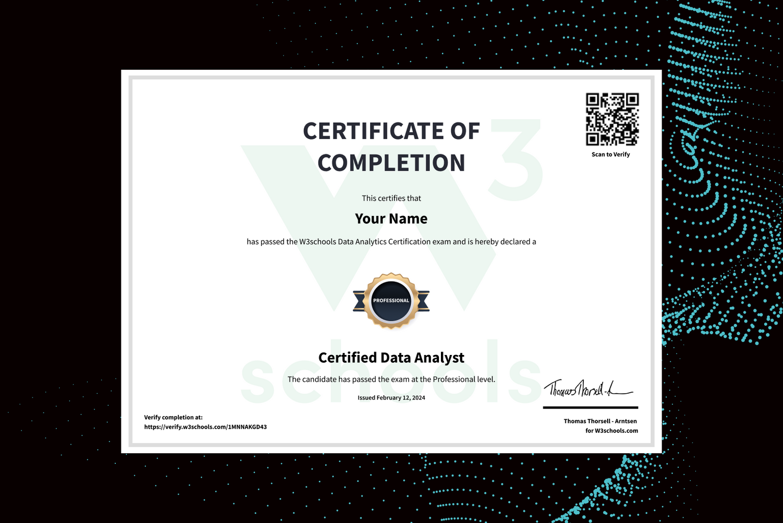 Career Paths — W3Schools.com